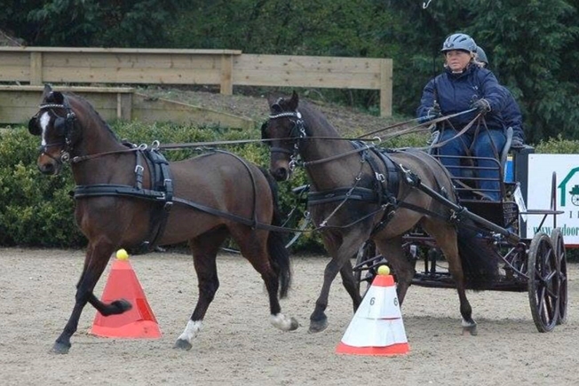 The Carriage Commentator – The definitive commentary on the world of ...