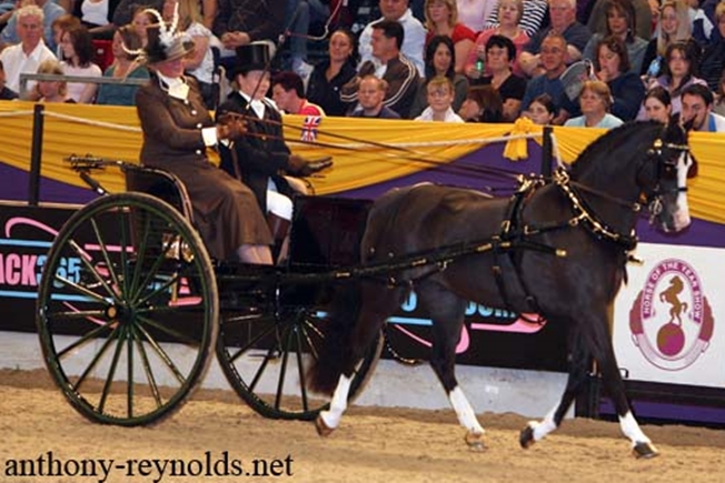 The Carriage Commentator – The definitive commentary on the world of ...