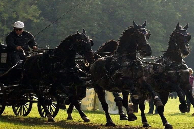 The Carriage Commentator – The definitive commentary on the world of ...