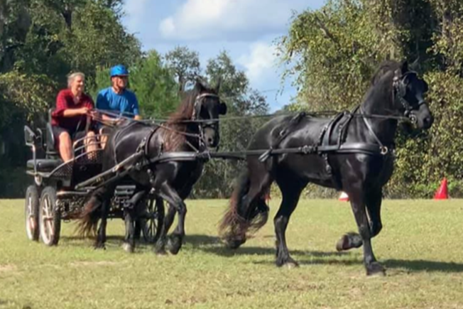 The Carriage Commentator – The definitive commentary on the world of ...