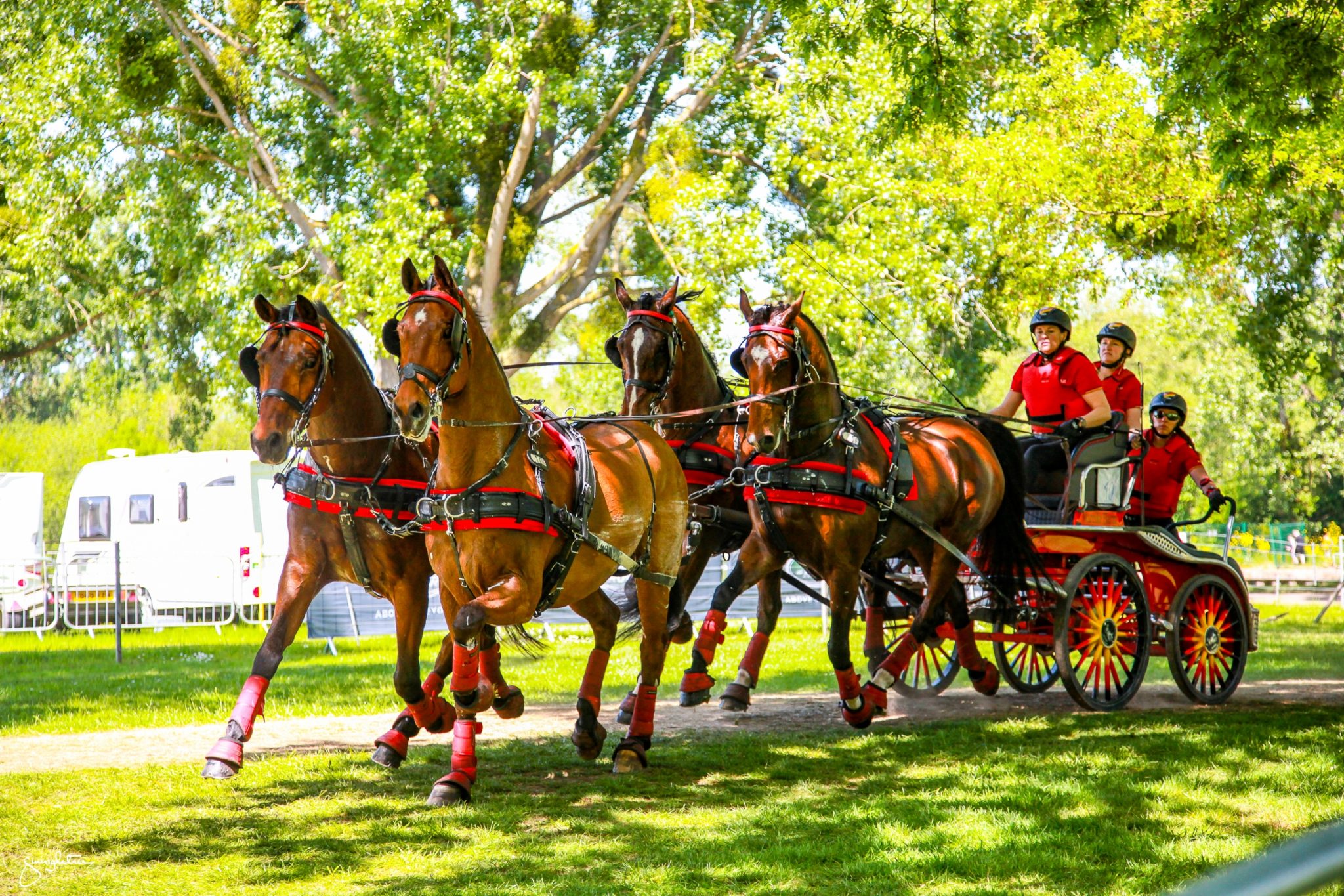 The Carriage Commentator – The definitive commentary on the world of ...