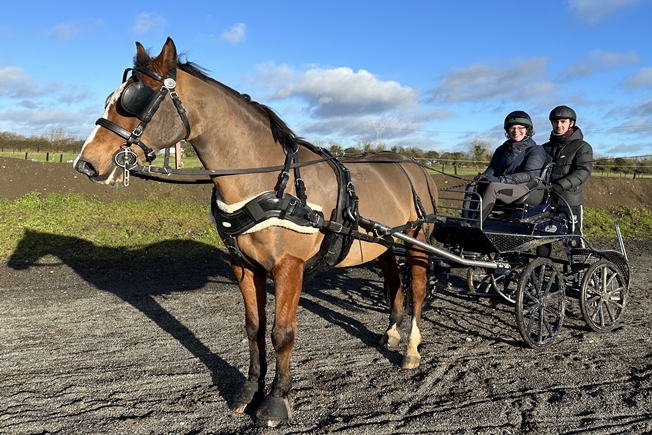 Features - The Carriage Commentator