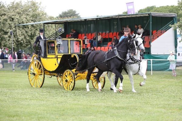 The Carriage Commentator – The definitive commentary on the world of ...